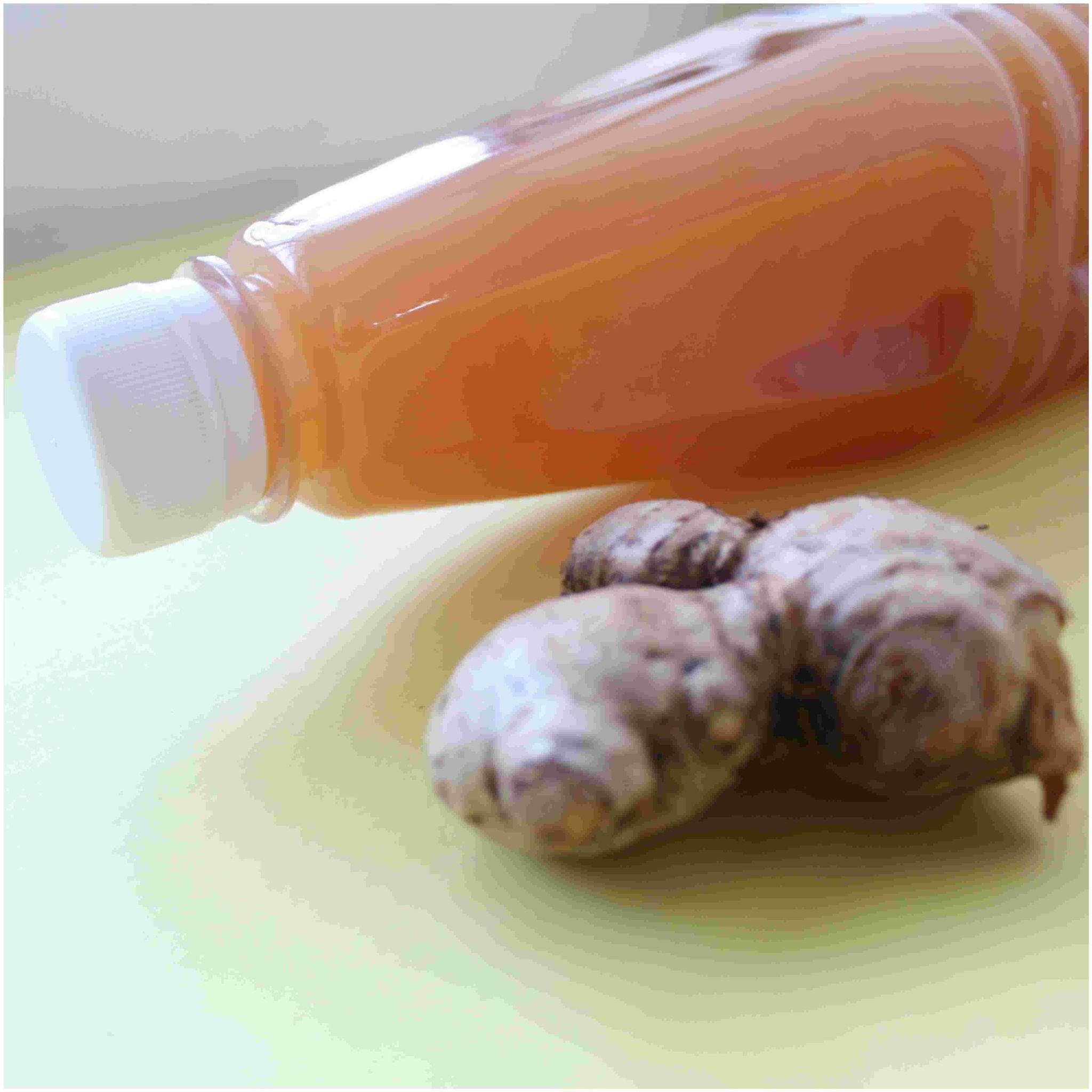 Inji Charu (Ginger Sarbath) - Native Special India